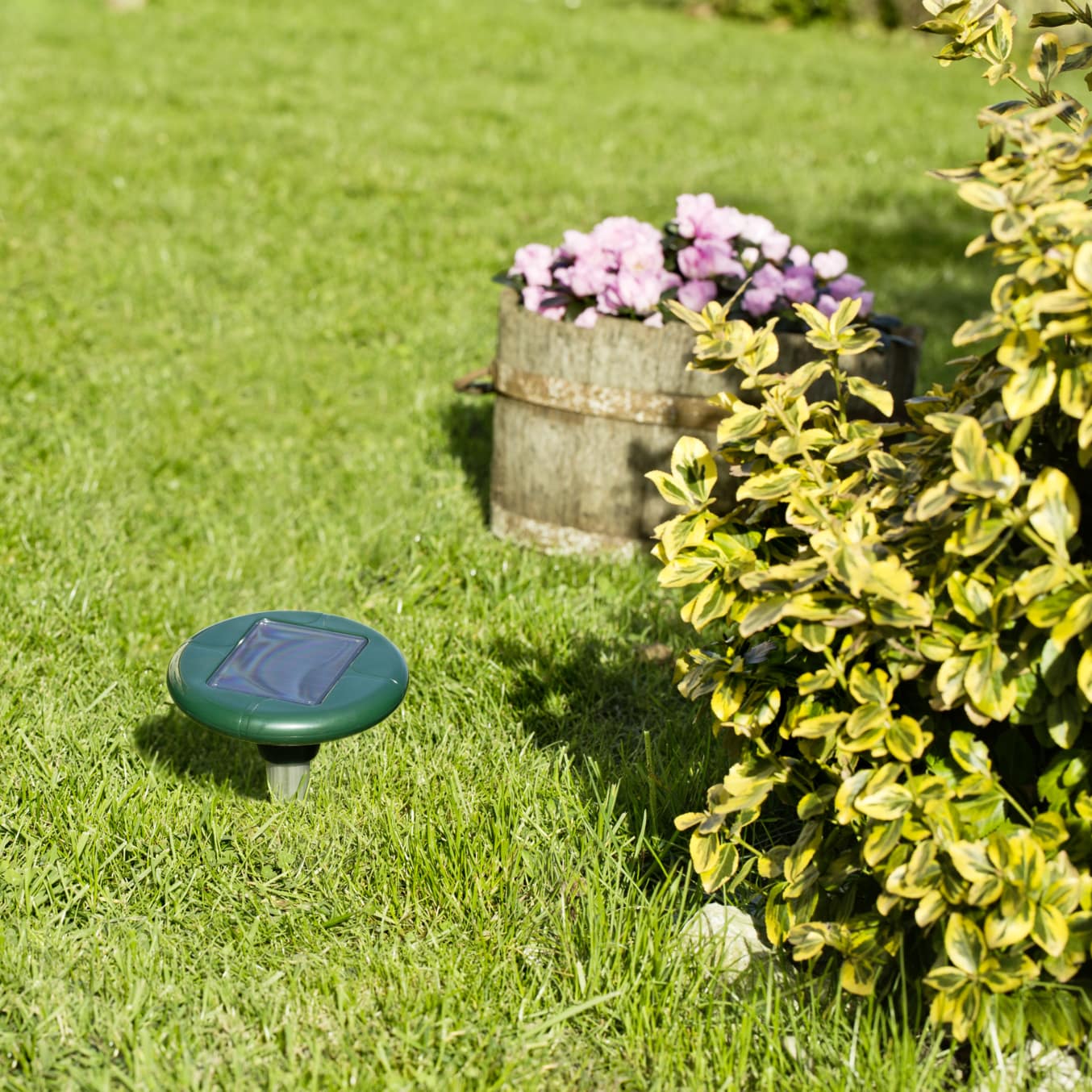 SOLAR Mullvad & Sorkskrämma Solcell - Skadedjursfritt.nu